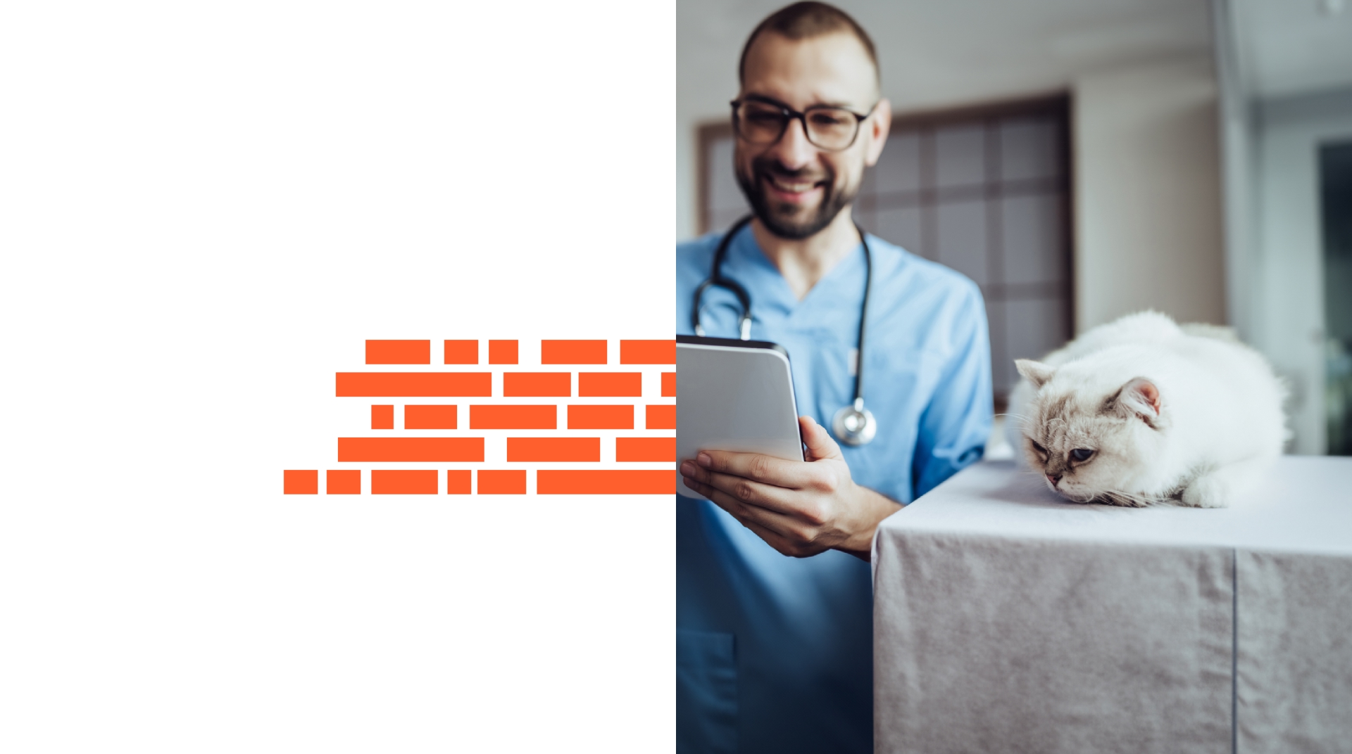 Fetch Pet Insurance’s Cloud Transformation: Faster Deployments & Lower ...